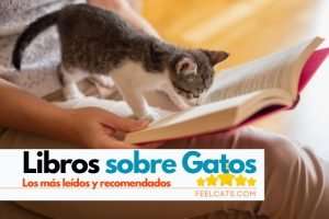 Libros sobre gatos | Mejores TOP 11 - 2025 | FeelCats