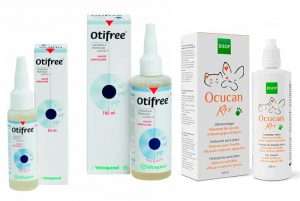 Otitis en perros ¿qué es? Síntomas y tratamientos | FeelCats